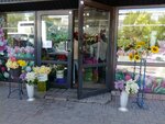 Flowers almaty (Tole Bi Street No:144Б), çiçekçiler  Almatı'dan
