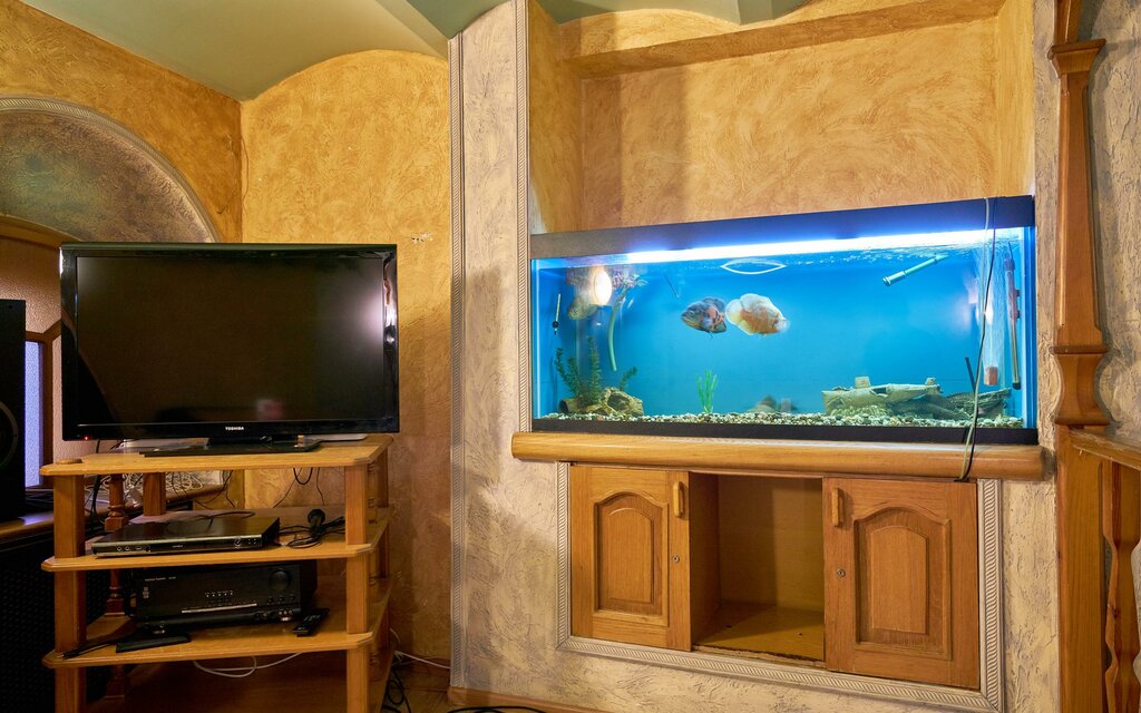 Saunalar Kutuzovskiye Bani, Saint‑Petersburg, foto