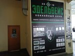 Эдельвейс (Kuraeva Street No:3), spor kulüpleri  Penza'dan