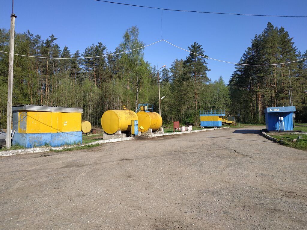 Benzin istasyonu АЗС, Pskovskaya oblastı, foto