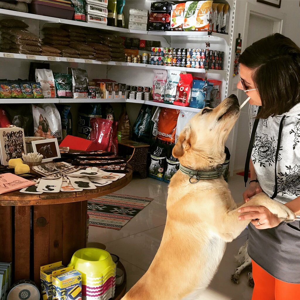 Petshop Petiko Shop & Cafe, Bodrum, foto