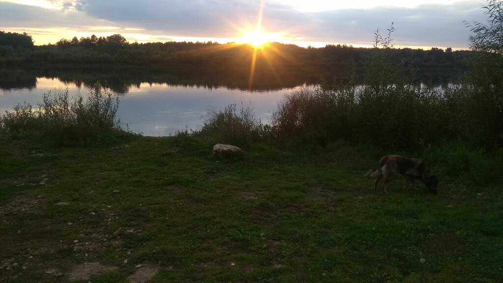 i̇skele Jetty , Riazanskaya oblastı, foto