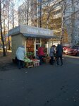 Магазин овощей и фруктов (Tula, Khvorostukhina Street), manavlar  Tula'dan