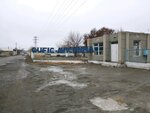 Gufik-avicenna Uzbek-Indian Jv (Namozgoh Street No:66), i̇laç firmaları  Buhara'dan