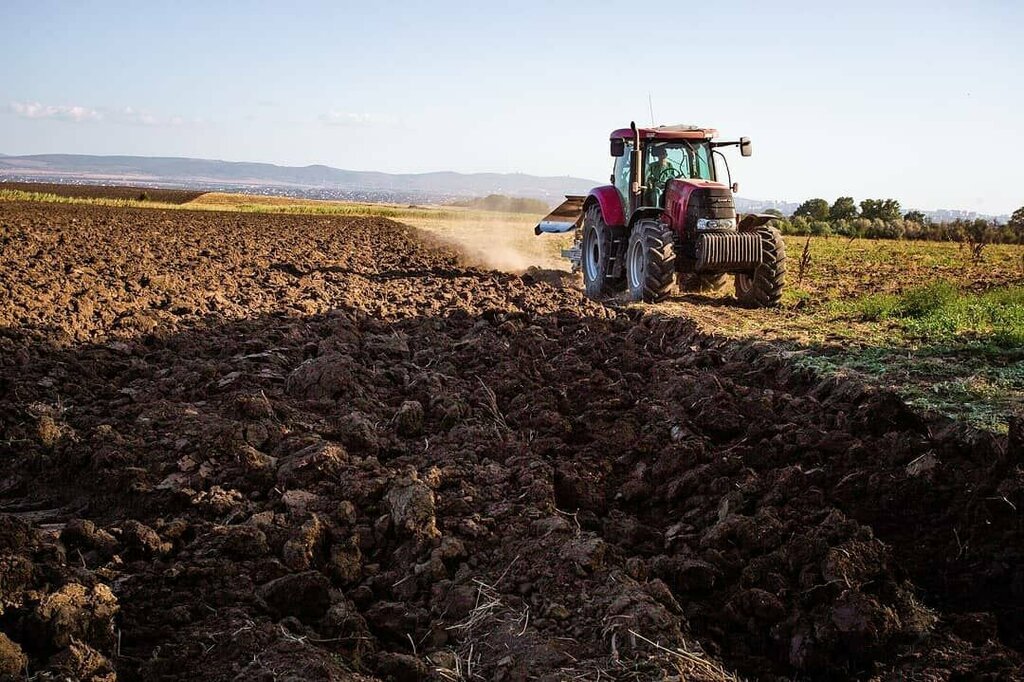 Arazi dizisi Vinogradnaya zemlya, Krasnodarski krayı, foto