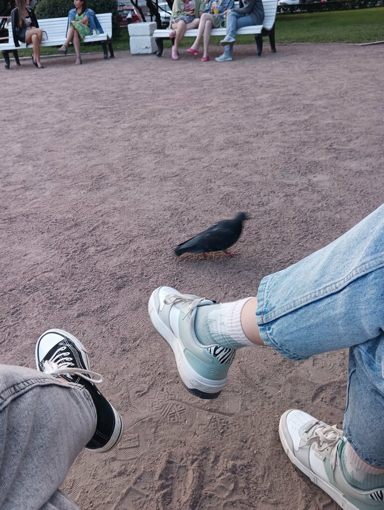 Bank Bench, Saint‑Petersburg, foto