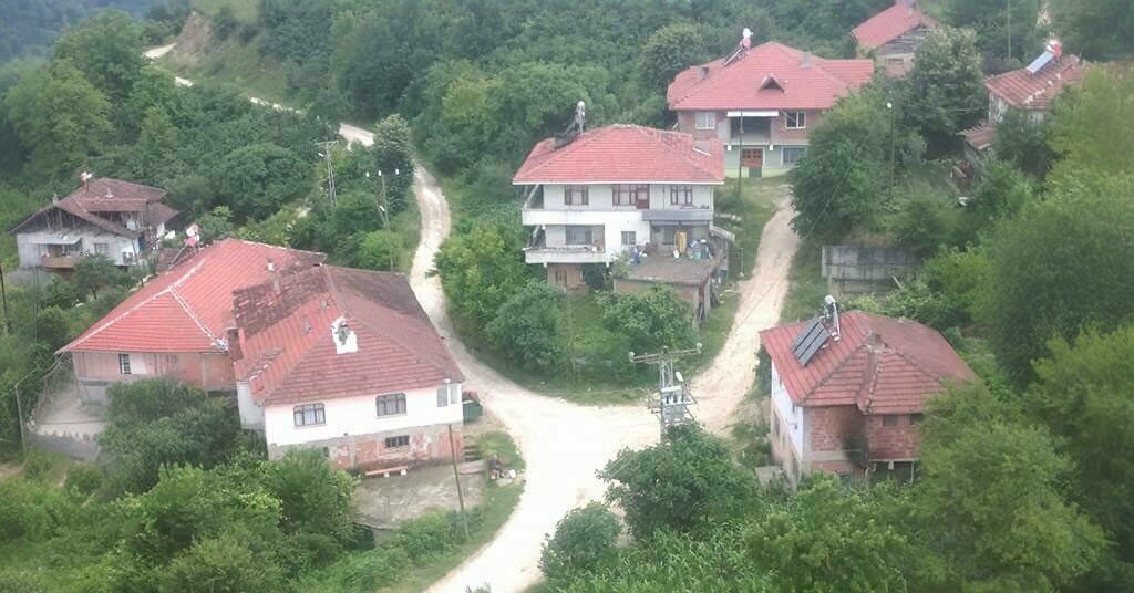 Muhtarlıklar Naşlar Köy Muhtarlığı, Yığılca, foto