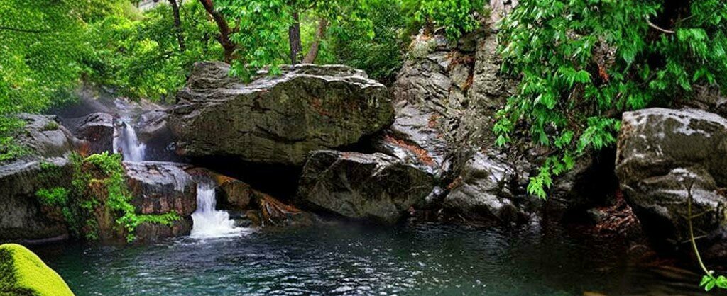 Parklar ve ormanlar Kazdağı Millî Parkı, Edremit, foto