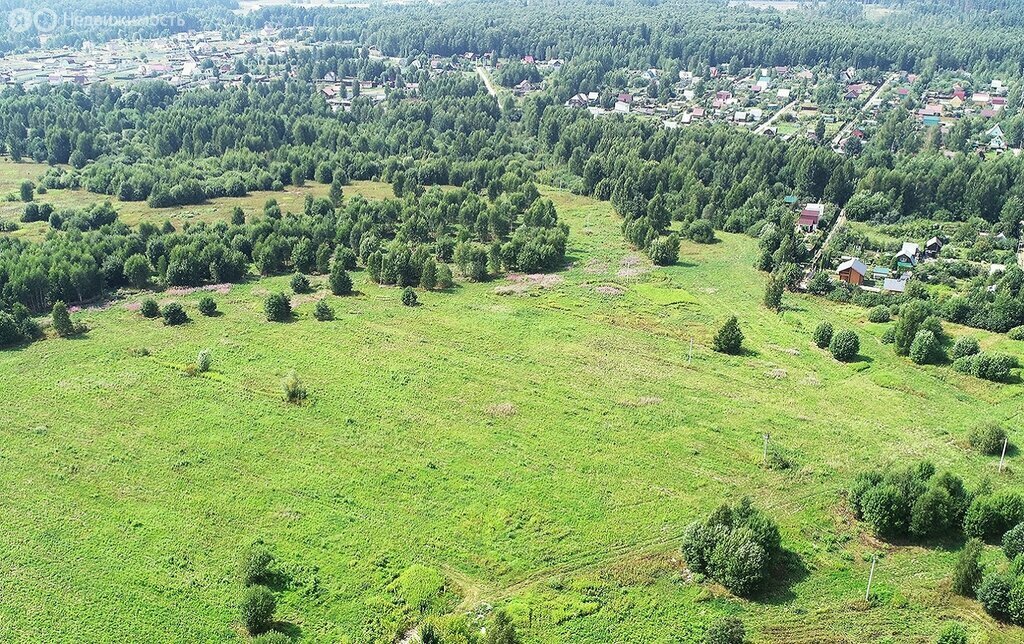 Yazlık yerleşim Трубицыно, Moskova ve Moskovskaya oblastı, foto