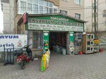 Topcuoğlu Akvaryum Ve Kuş Galerisi (Konya, Selçuklu, Gürkan Cad., 43), petshop  Konya'dan