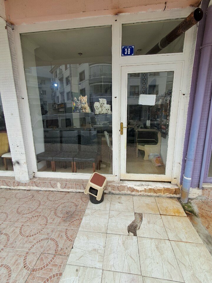 Mobilya tamir, tadilat Yanarada Koltuk Döşeme, Ankara, foto