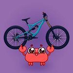 Velogarage 67 (ulitsa Nikolayeva No:74), bisiklet mağazaları  Smolensk'ten