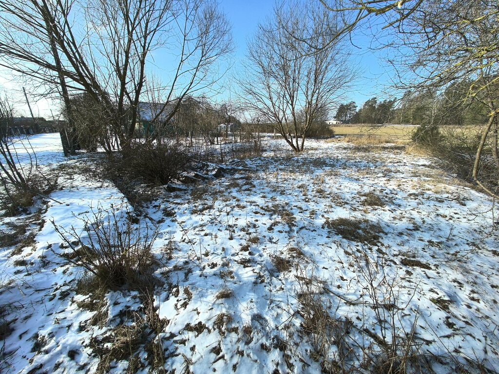 Anıt, heykel Расстрелянной еврейской семье Кизиных, Minskaya oblastı, foto