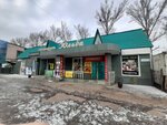 Dombra Playing and Vocal Training Courses (Gagarin Street No:97/1), müzik okulları ve konservatuarlar  Oral'dan (Uralsk'tan)