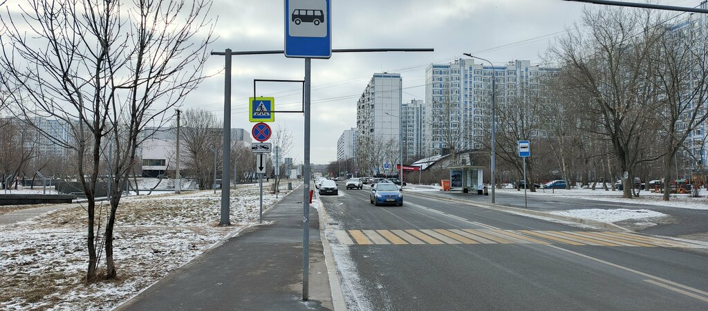 Toplu taşıma durağı Marshal Golovanov Street, Moskova, foto