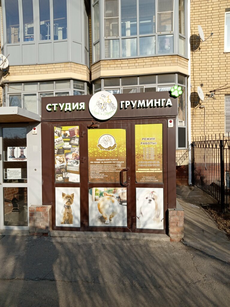 Evcil hayvan kuaförleri Lady and Brodyaga, Volgograd, foto