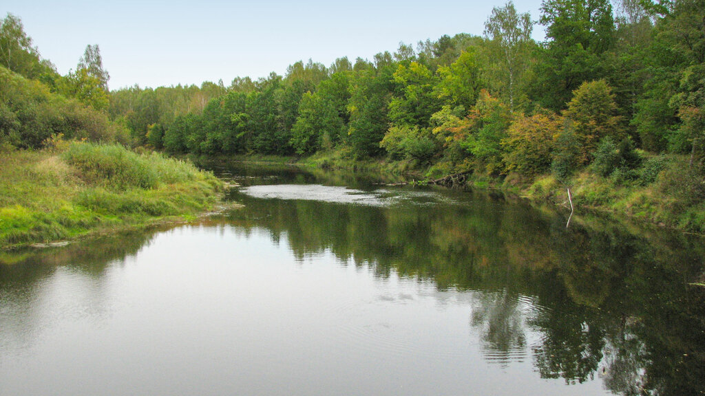 Plaj Пляж, Nijegorodskaya oblastı, foto