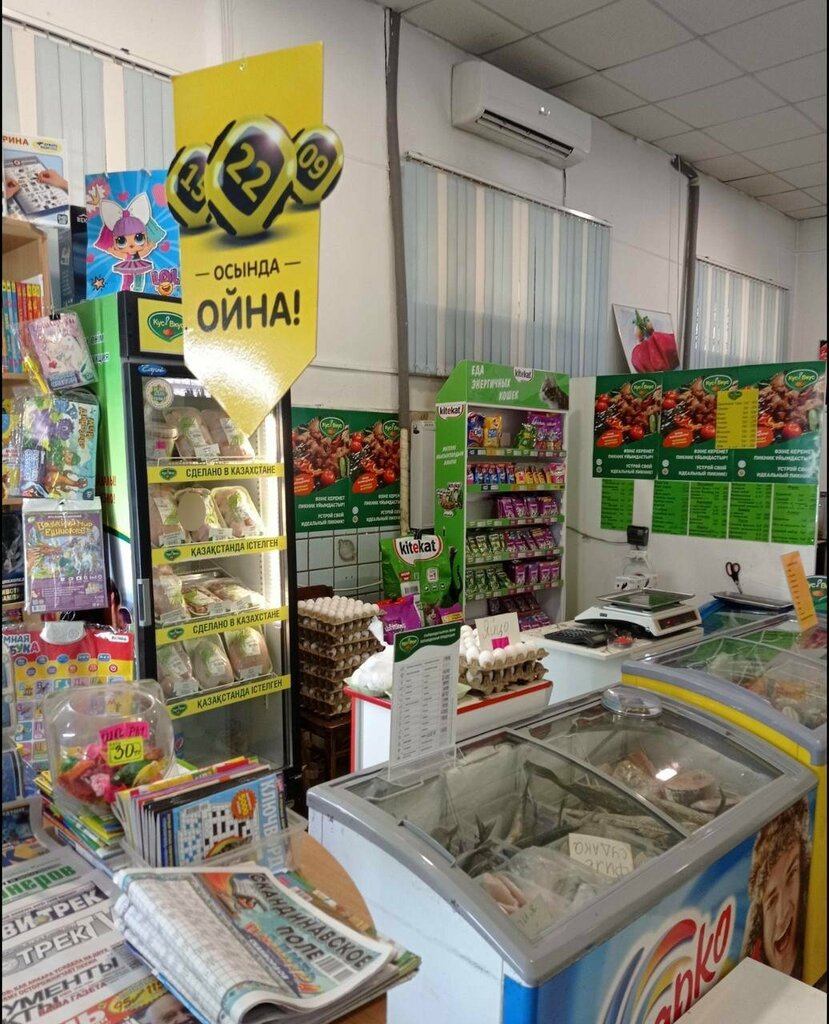 Kanatlı hayvan ürünleri ve yumurta Chicken and fish department, Karağandı, foto