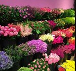 FunFlowers. lv (Blaumana street No:12), çiçekçiler  Riga'dan