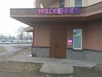 Wildberries.ru (Soldata Korzuna Street No:4), teslimat noktası  Saint‑Petersburg'dan