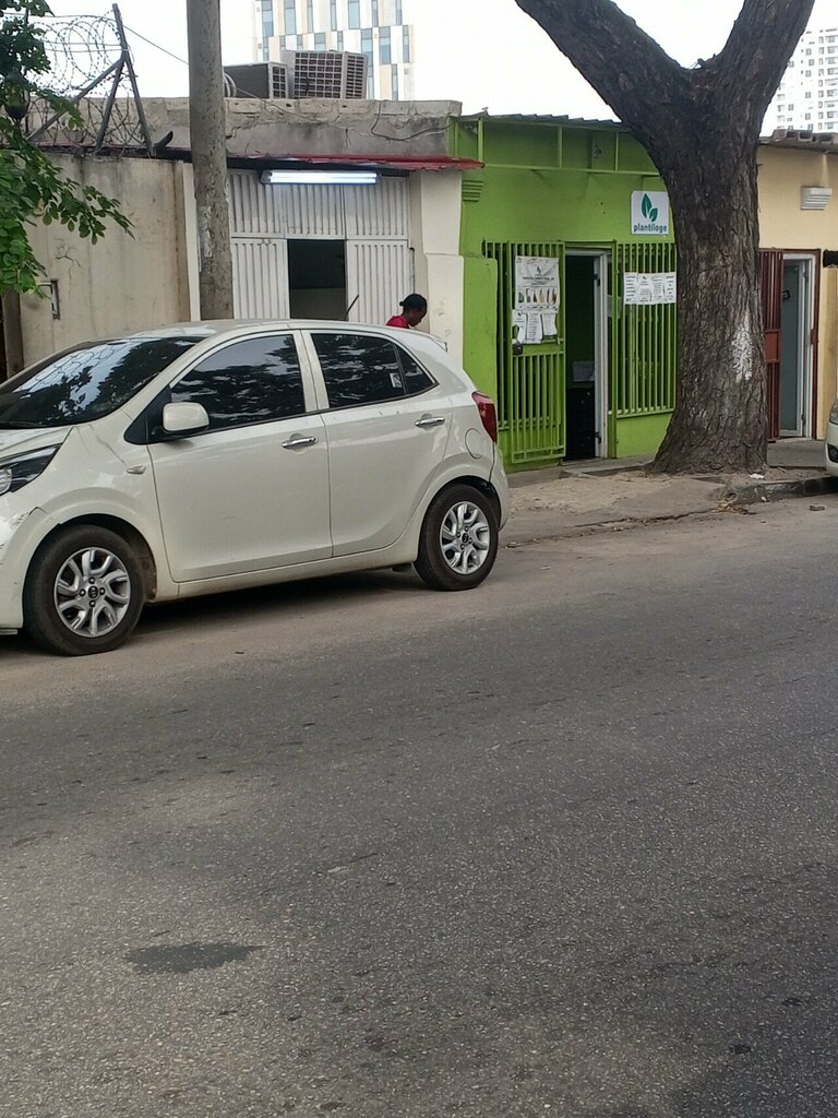 Manavlar PLANTILOGE Loja Vila Alice, Loanda, foto
