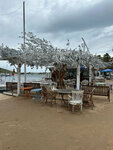 Bodrum Belediye Gümüşük Cafe (Muğla, Bodrum, Gümüşlük Mah., 5120. Sok.), kafe  Bodrum'dan