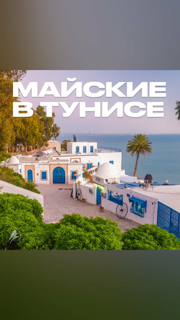 Seyahat acenteleri Starlite, Vladimir, foto