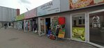 Дом и сад (Dzerzhinskogo Street No:79к6), bahçecilik mağazaları  Kaliningrad'dan