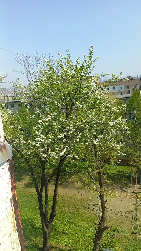 Bank Bench, Vladivostok, foto