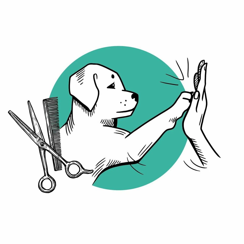 Evcil hayvan kuaförleri GroomPet, Krasnodar, foto