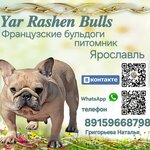 Yar Rashen Bulls (No:2А, derevnya Yermolovo), evcil hayvan yetiştiricileri  Yaroslavskaya oblastından