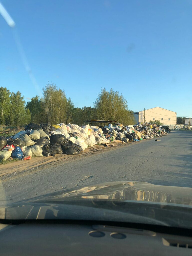Çöp alanları Trash and garbage disposal area, Sverdlovskaya oblastı, foto