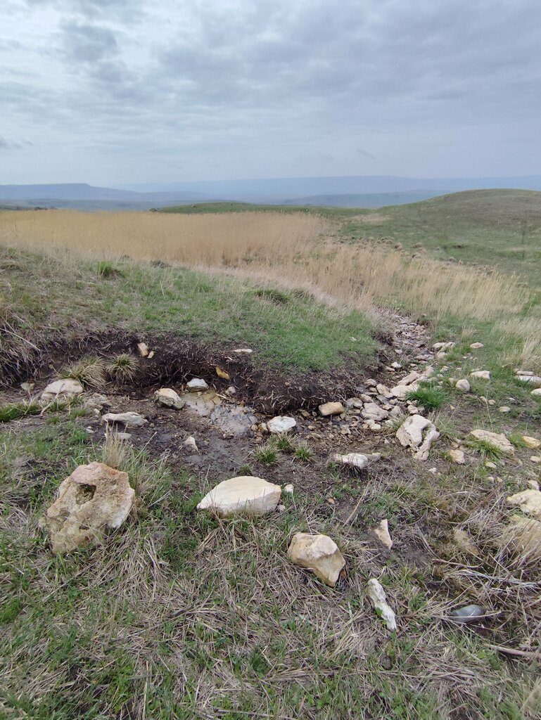 Pınar, çay Spring, stream, Stavropolski krayı, foto