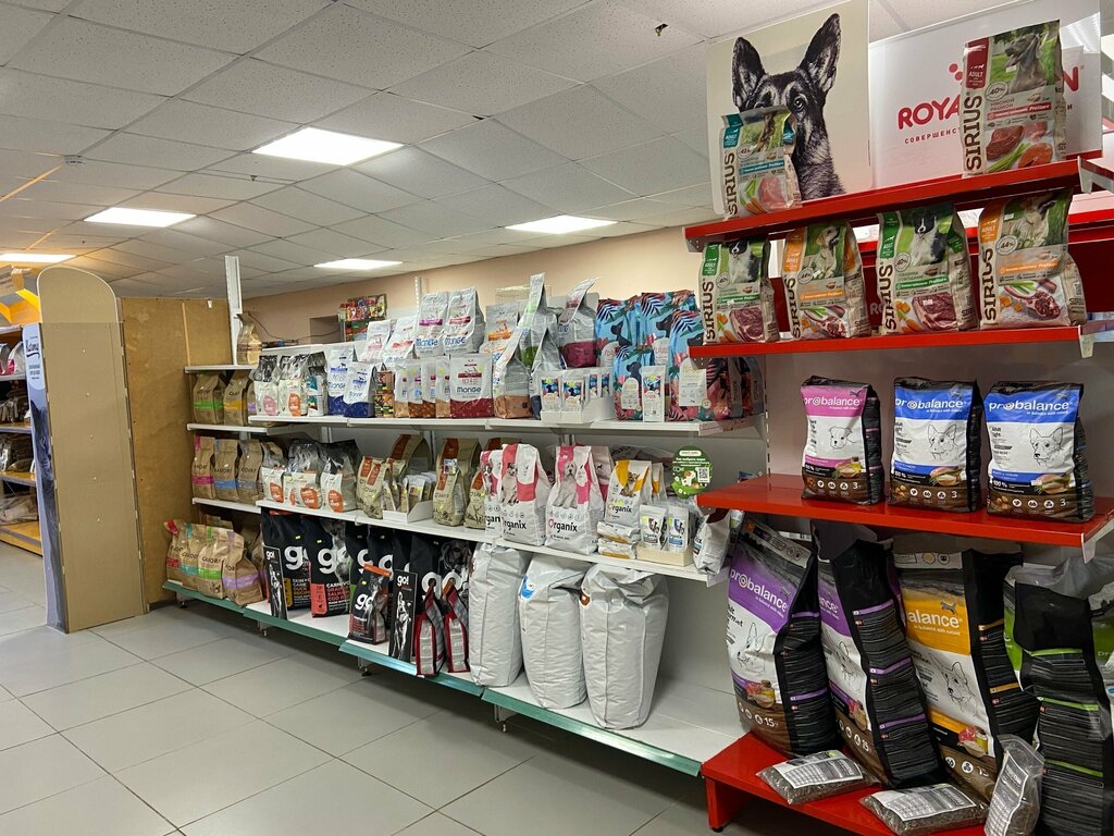Petshop Only you, Koriajma, foto