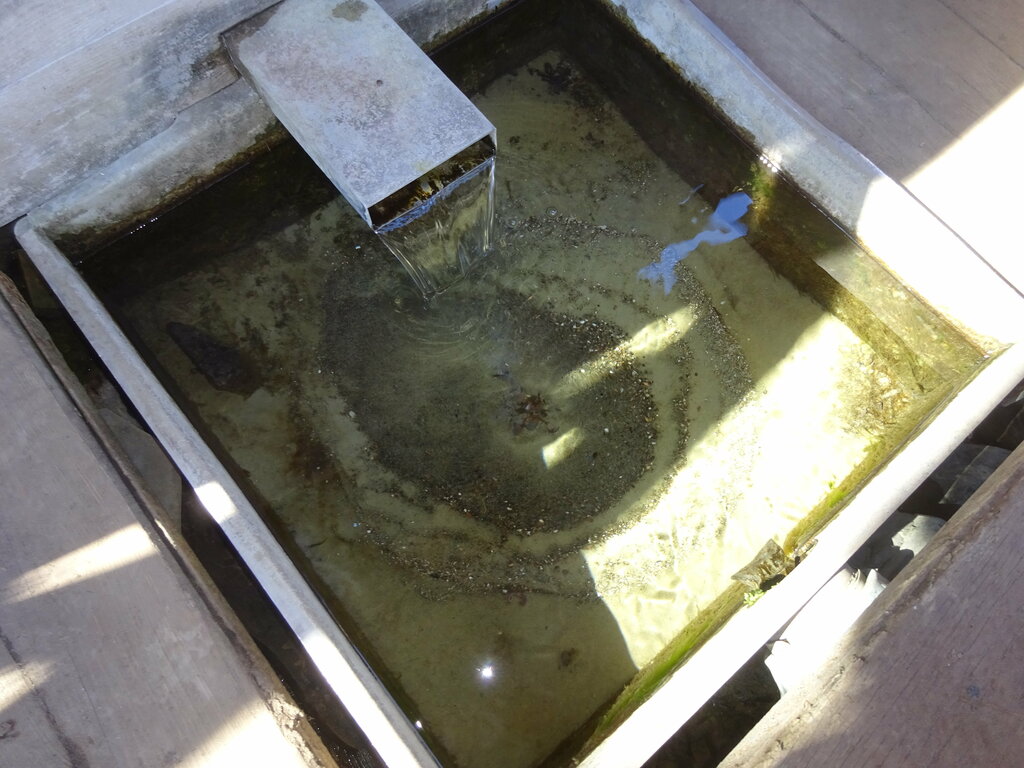 Pınar, çay Spring, stream, Kurskaya oblastı, foto