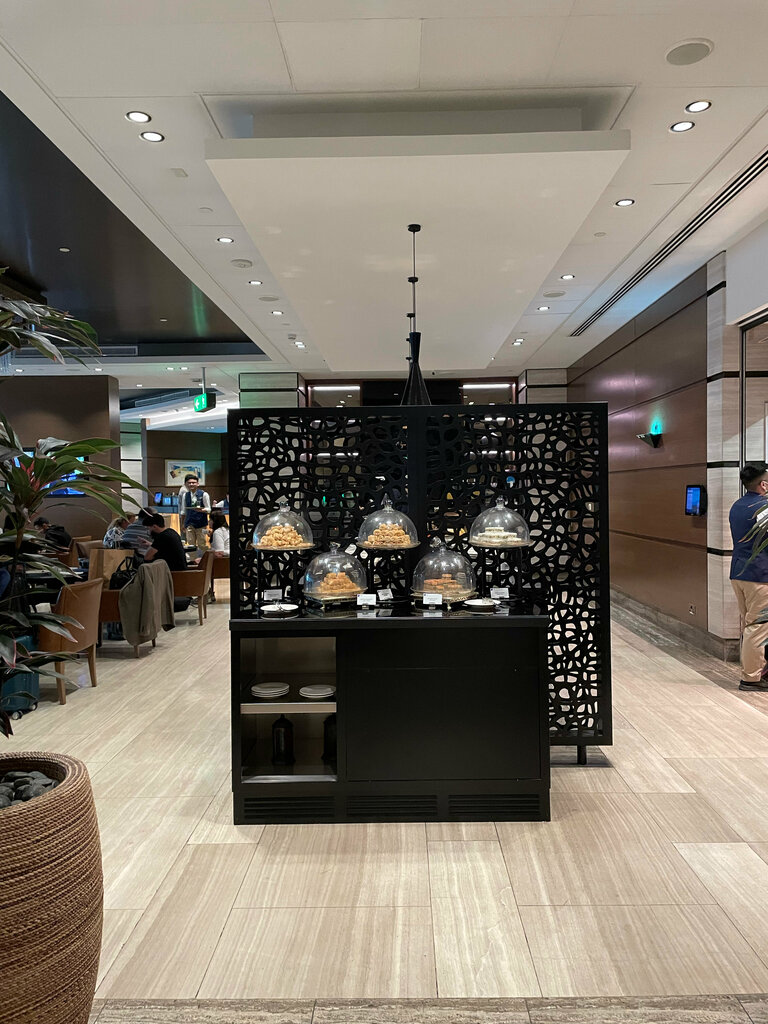 Havaalanı vip salonu Dih, Ahlan Lounge, Dubai, foto