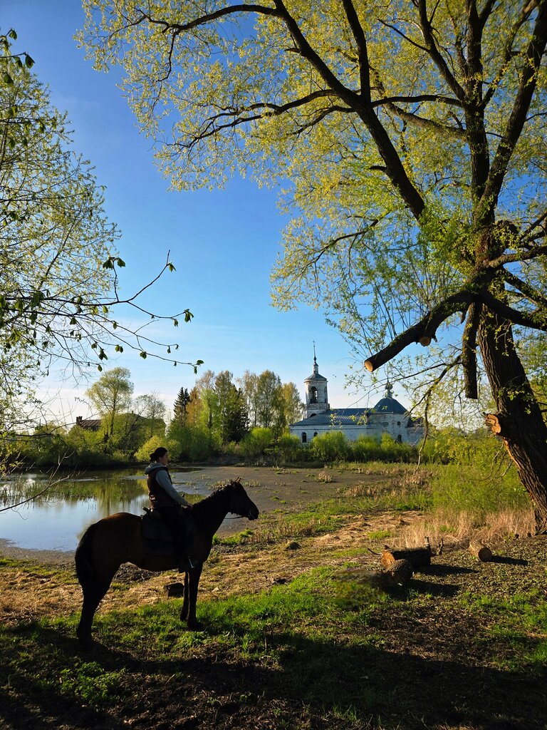 At ve binicilik kulüpleri Ecocentr Samohvalovo, Vladimirskaya oblastı, foto
