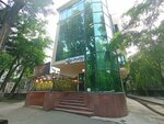 Haven (Gagarin Avenue No:135/7), kafe  Almatı'dan