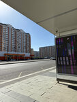 Nekrasovka Metro Station (Moscow, Pokrovskaya Street), toplu taşıma durağı  Moskova'dan