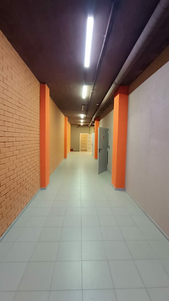 Haşere ilaçlama firmaları Center for expertise and disinfection, Petrozavodsk, foto