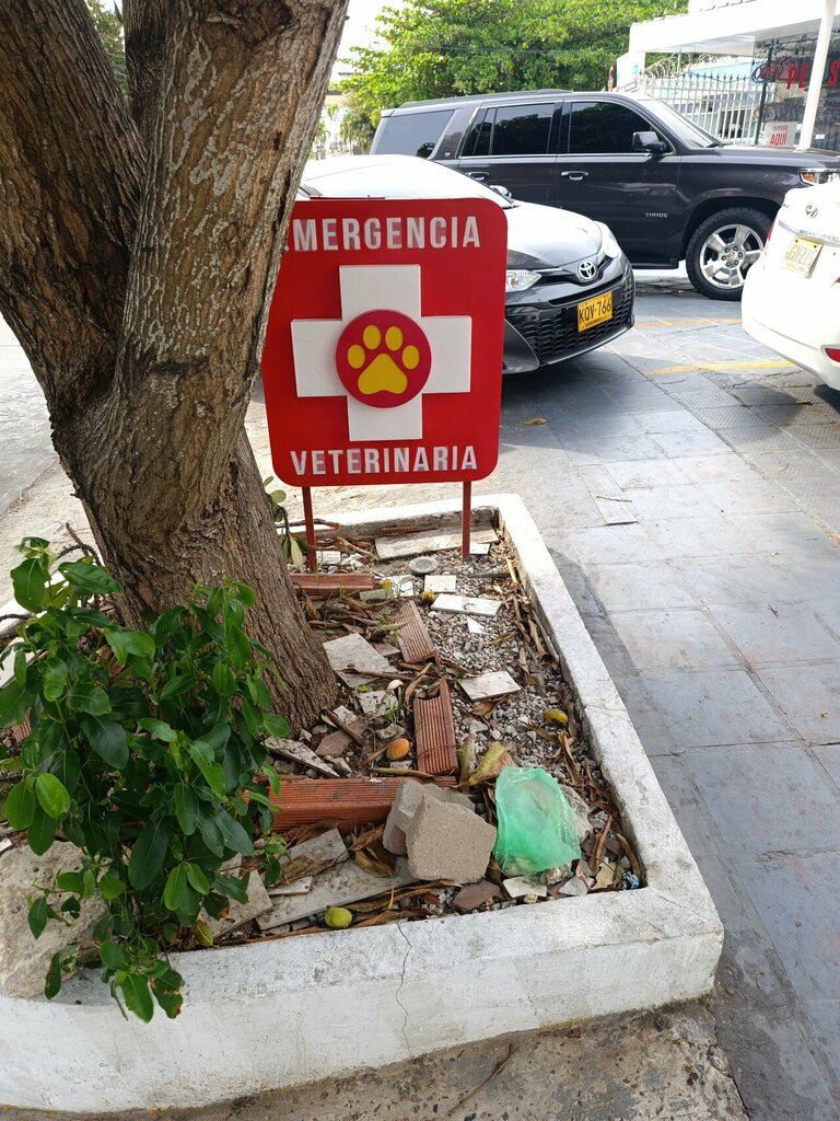 Veteriner klinikleri Vida animal del caribe, Barranquilla, foto