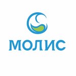 Молис (Krasnoarmeyskaya ulitsa No:9), kuru temizlemeciler  İrbit'ten