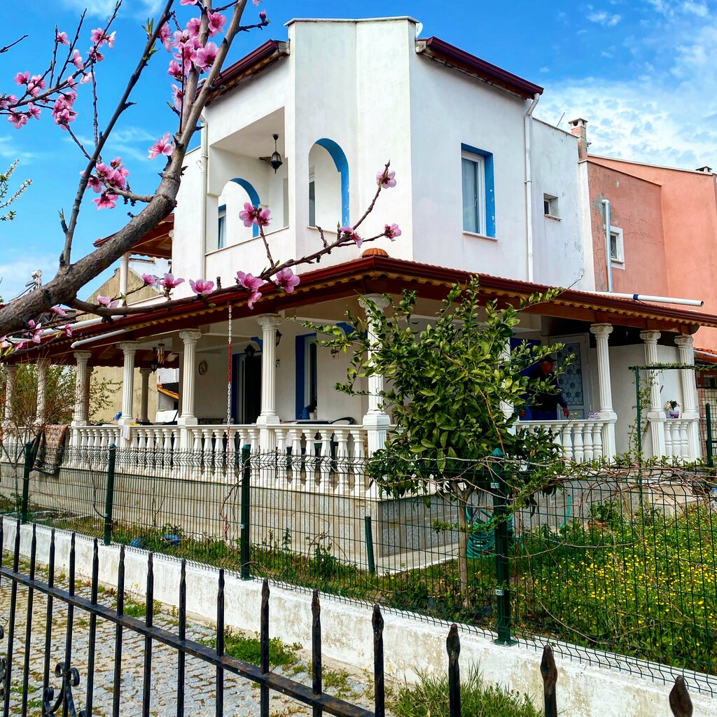 Sergi salonları, galeriler Mutlu yol, Dikili, foto