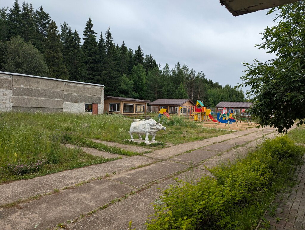 Kiralama noktası Пункт проката, Permski krayı, foto