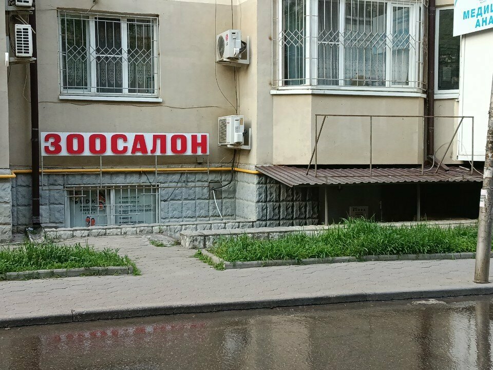 Evcil hayvan kuaförleri Zverobudka, Pyatigorsk, foto