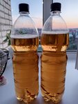 ГлавПивТорг (prospekt Lenina No:65А), bira dükkanı  Oktiabrski'den