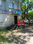 Кабинет здорового питомца (Gorkogo Street No:136), veteriner klinikleri  Blagoveshchensk'ten