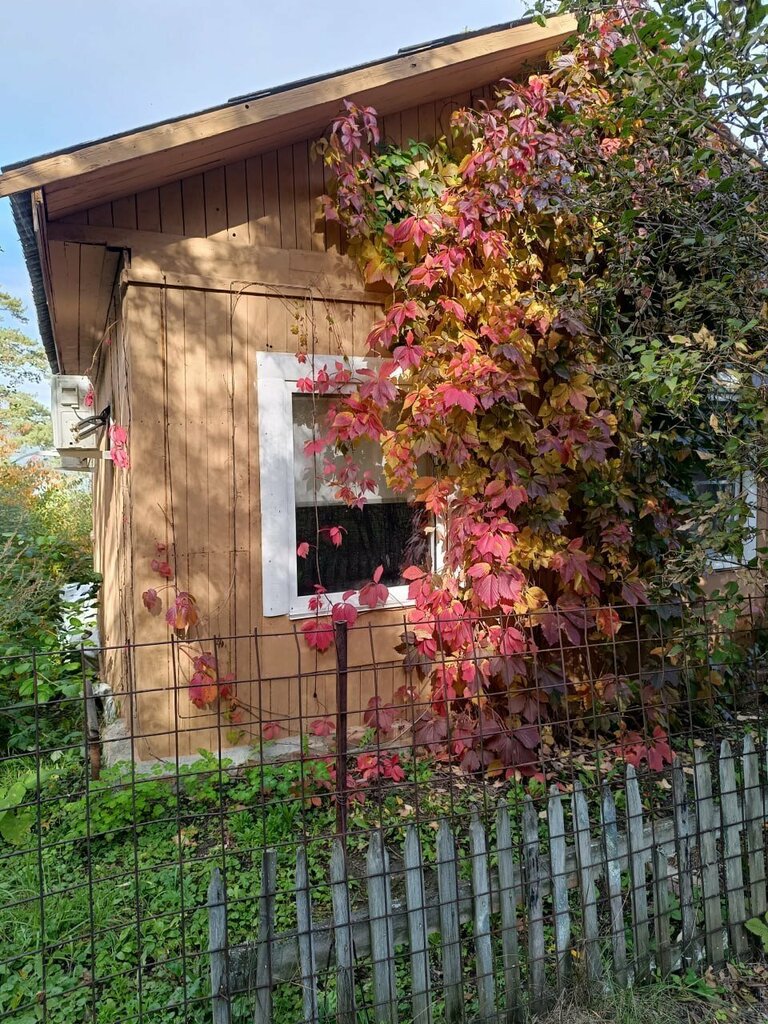 Konuk evi Душевный Дом, Çeliabinskaya oblastı, foto