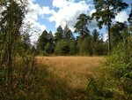 Druzhnoye ecovillage (Vladimir Region, Sudogodskiy rayon, munitsipalnoye obrazovaniye Golovinskoye, obyedineniye rodovykh pomestiy Druzhnoye), bahçecilik dernekleri ve kuruluşları  Vladimirskaya oblastından