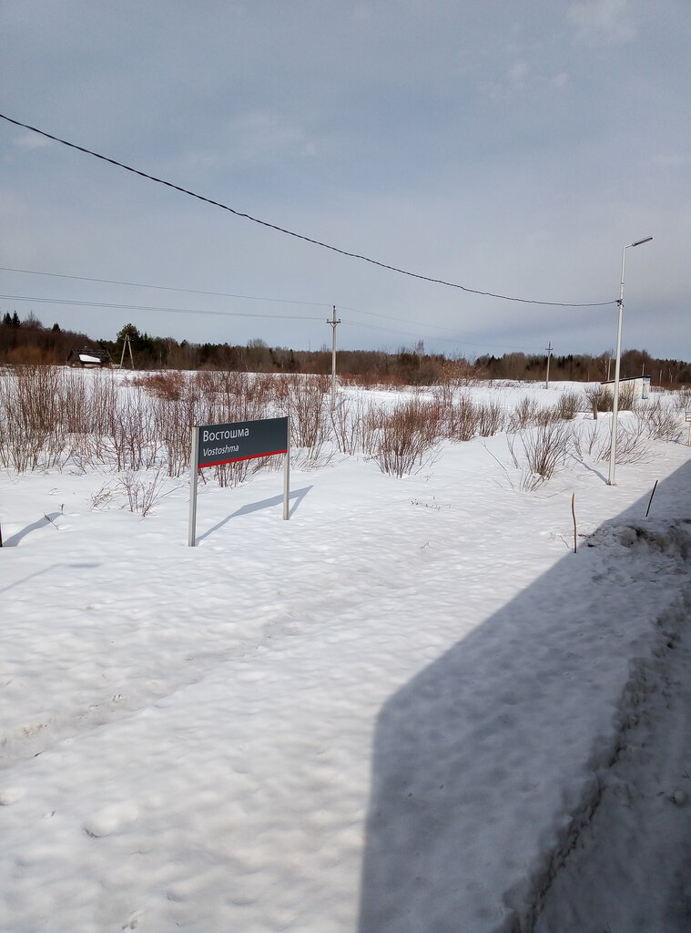 Tren istasyonu остановочный пункт Востошма, Kostromskaya oblastı, foto